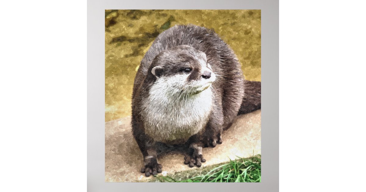 OTTER POSTER | Zazzle