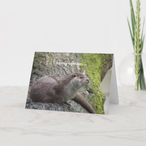 Otter Thoughts Card | Zazzle