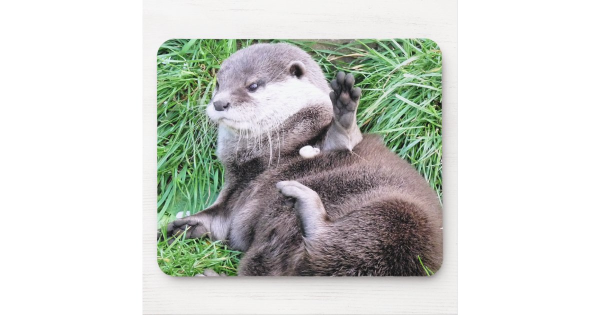 OTTERS MOUSE PAD | Zazzle