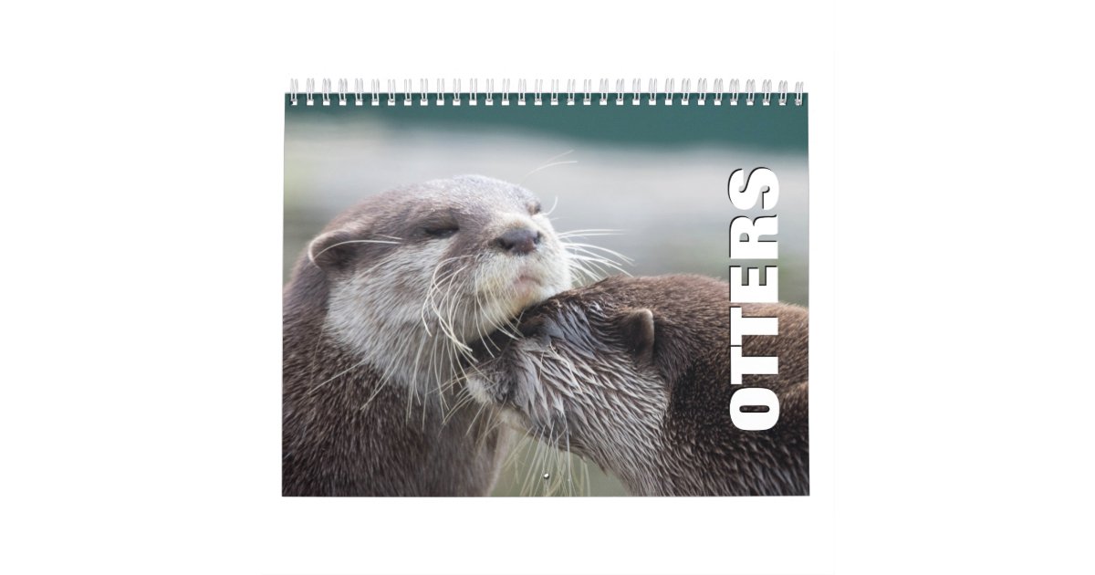 Otters Wall Calendar | Zazzle