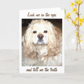 **OUR ANNIVERSARY** COCKER SPANIEL COMEDIAN CARD | Zazzle