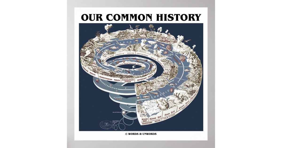 Our Common History (Earth History Timeline Spiral) Poster | Zazzle