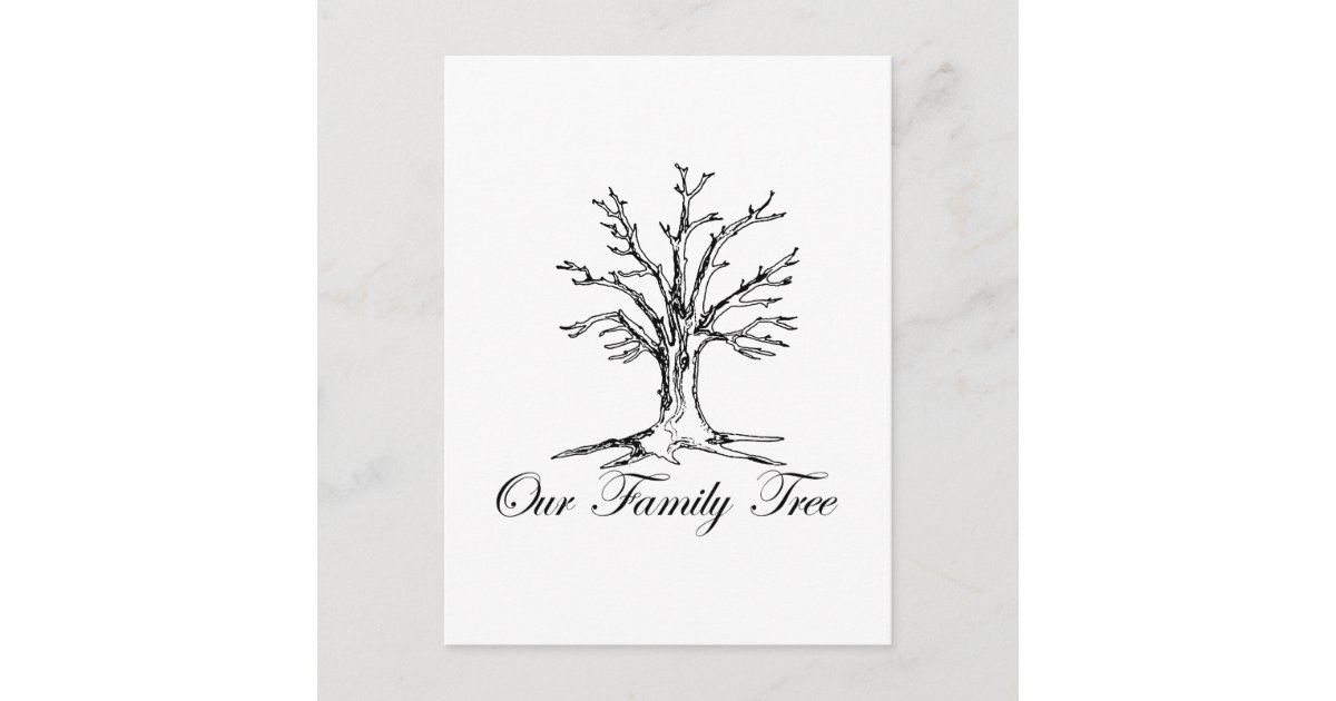 Our Family Tree Postcard | Zazzle