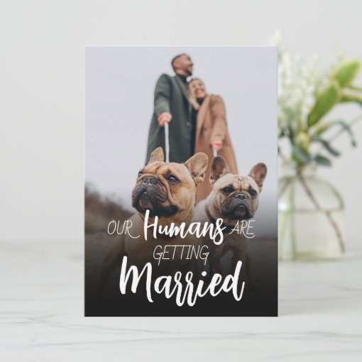 Our Humans Getting Married Pet Dog Save The Date Invitation | Zazzle