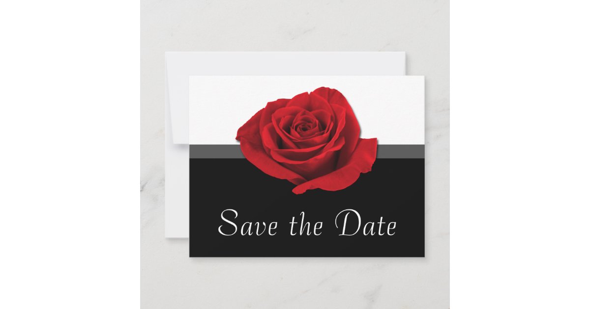 Our Love Rose ~ Save the Date | Zazzle