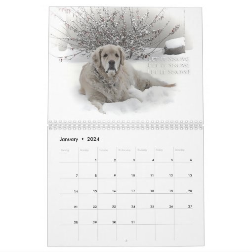 Our Pets Calendar, Dogs at their Best Calendar | Zazzle