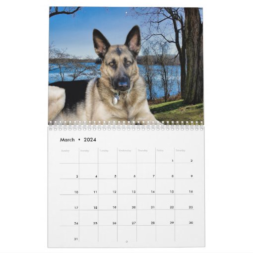 Our Pets Calendar, Dogs at their Best Calendar | Zazzle