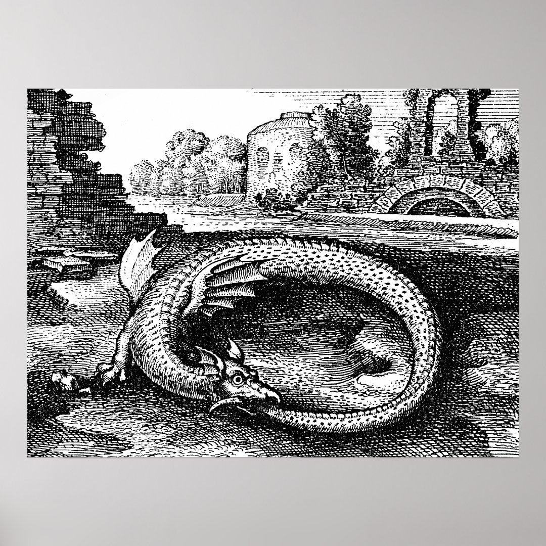 Ouroboros Dragon Poster | Zazzle