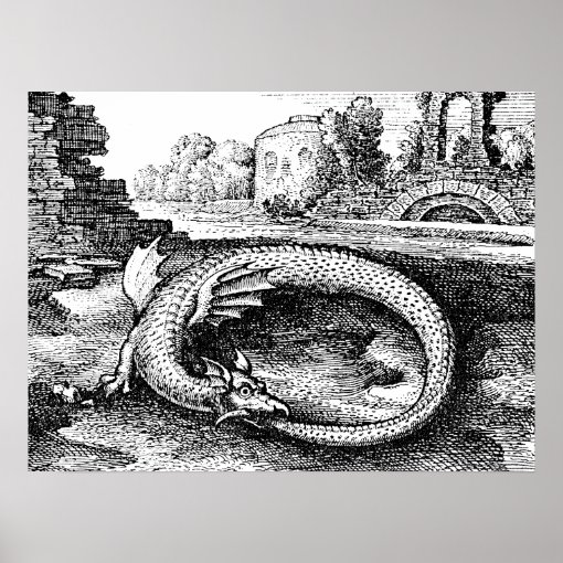 Ouroboros Dragon Poster | Zazzle