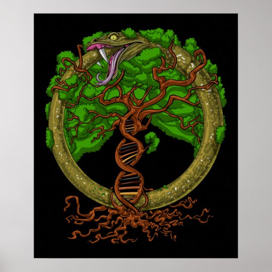 Ouroboros Snake Tree Of Life Poster | Zazzle.com