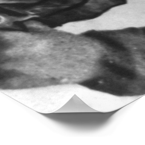 Outlaw Jesse James Portrait Photograph Poster | Zazzle