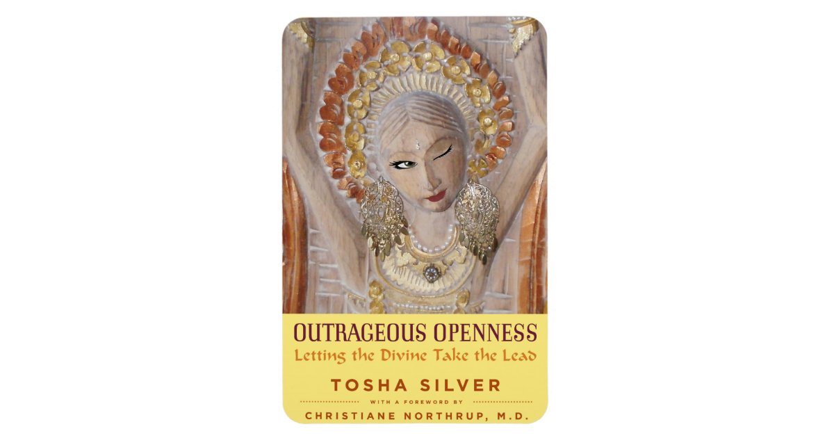 Outrageous Openness, New Book Cover Magnet | Zazzle