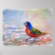 Outstanding and Colorful Spring Bird Poster | Zazzle