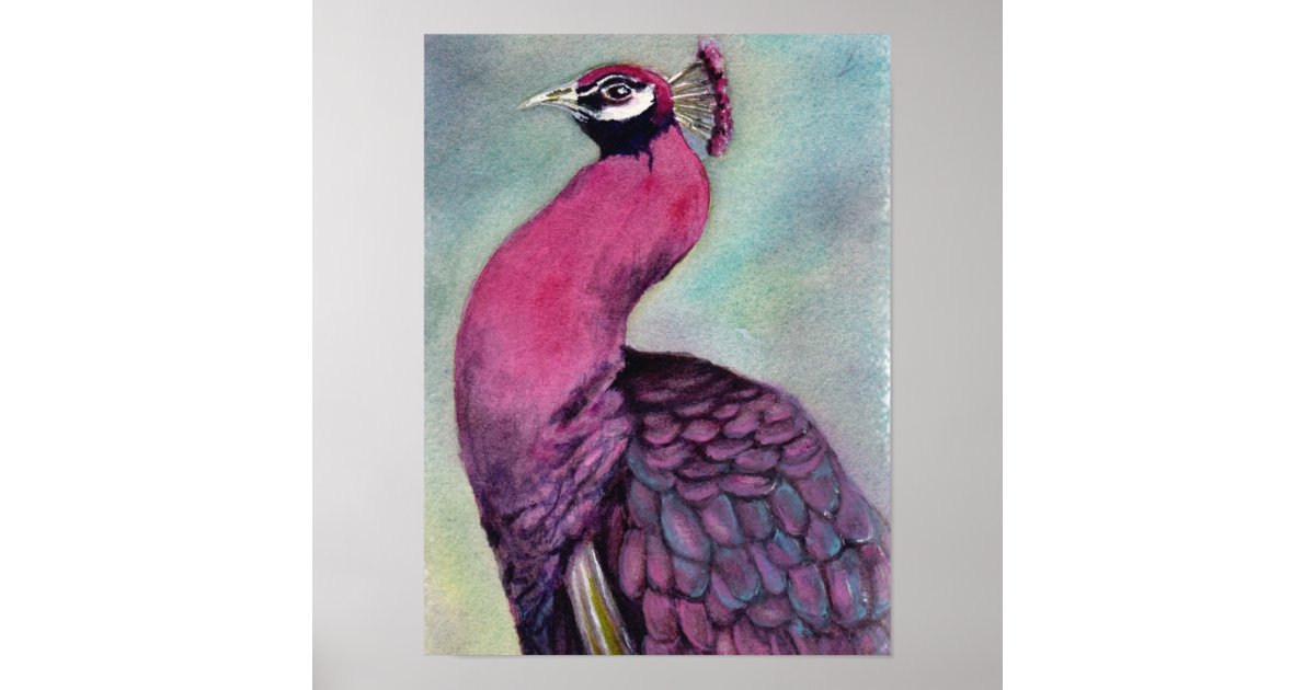 Outstanding Hot Pink Peacock Poster | Zazzle