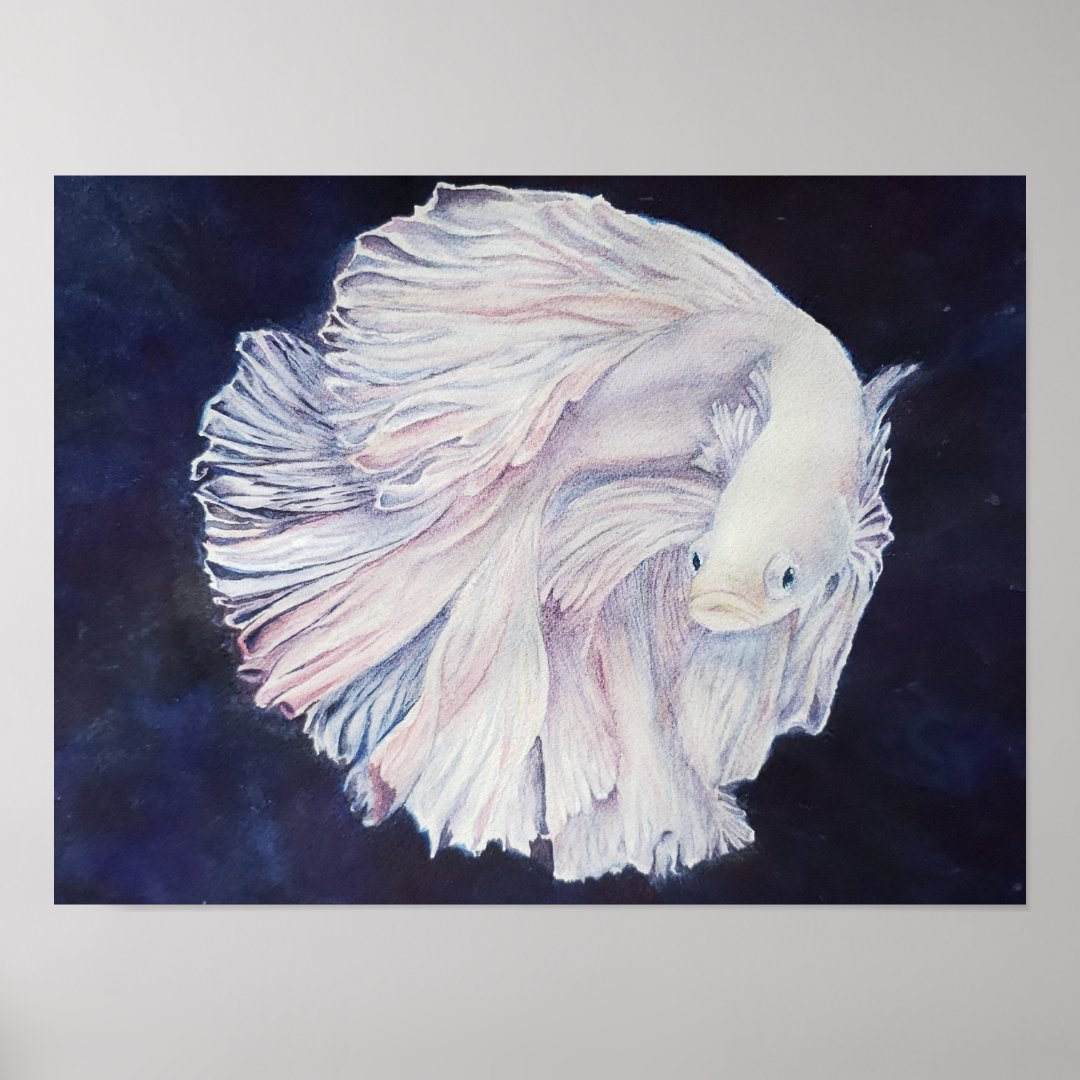 Outstanding White Fighter Fish Poster | Zazzle