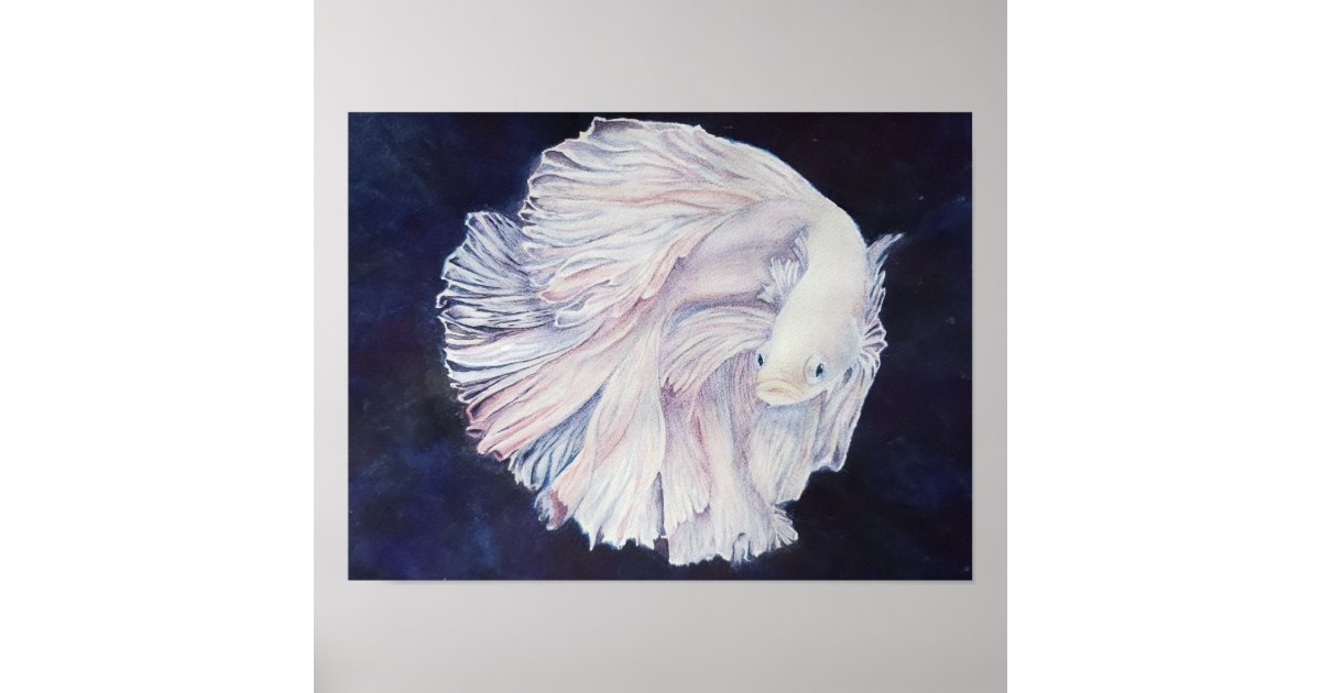 Outstanding White Fighter Fish Poster | Zazzle