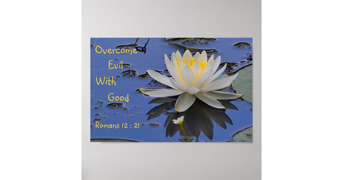 Overcome Evil With Good Lily Poster | Zazzle
