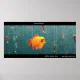 Overfishing Poster | Zazzle