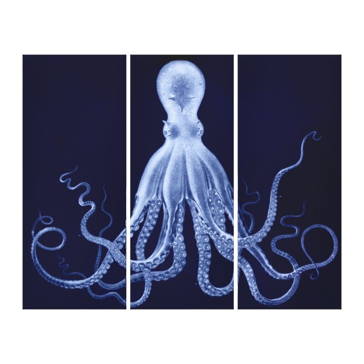 Oversized Octopus Triptych in Blue Canvas Print | Zazzle