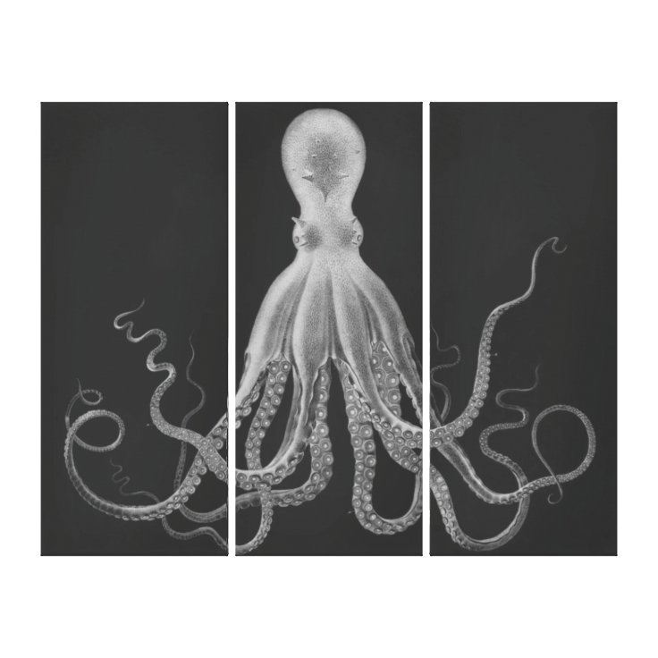 Oversized Octopus Triptych in Gray Canvas Print | Zazzle