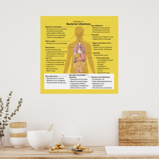 Overview of Bacterial Infections Poster | Zazzle