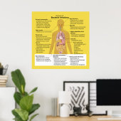Overview of Bacterial Infections Poster | Zazzle