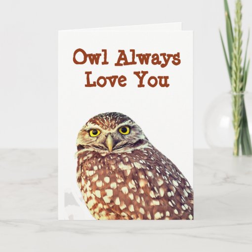 Owl Always Love You All Occasion Greeting Card | Zazzle