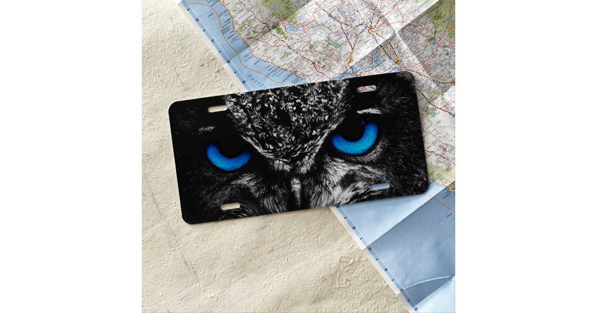 Owl blue eyes license plate | Zazzle
