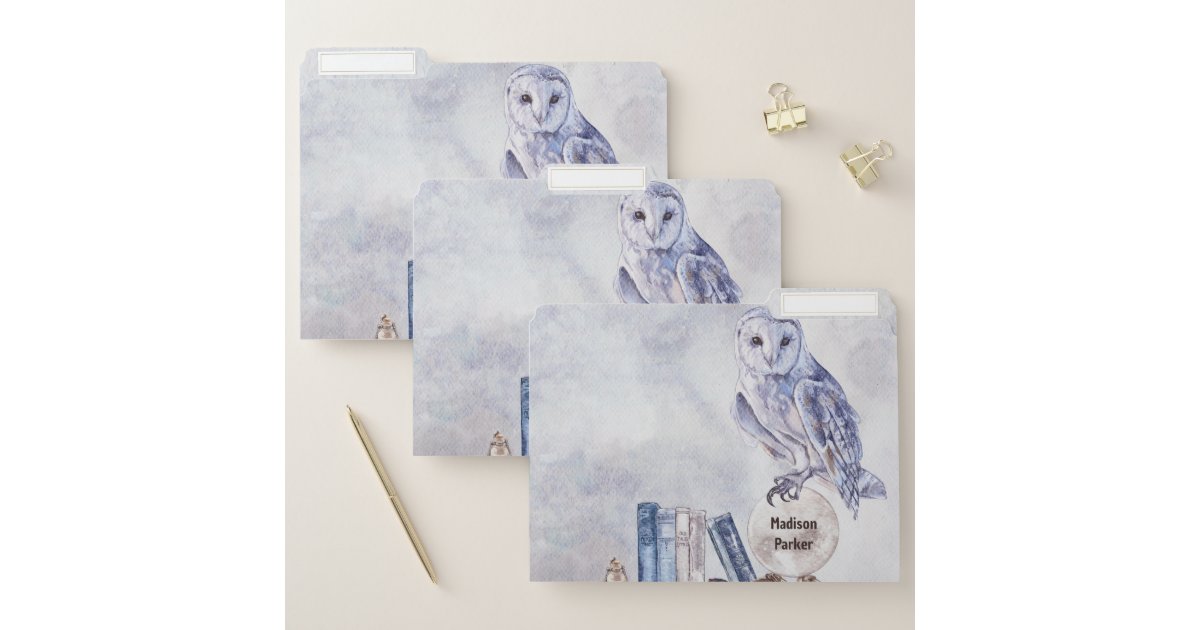 Owl & Books File Folder | Zazzle