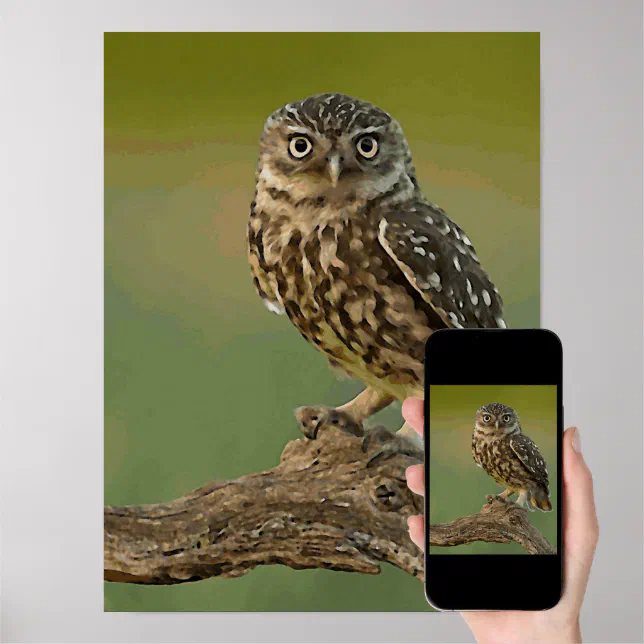 Owl Eye Bird Wild Poster | Zazzle