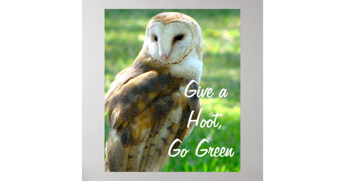 Owl Give A Hoot Poster | Zazzle