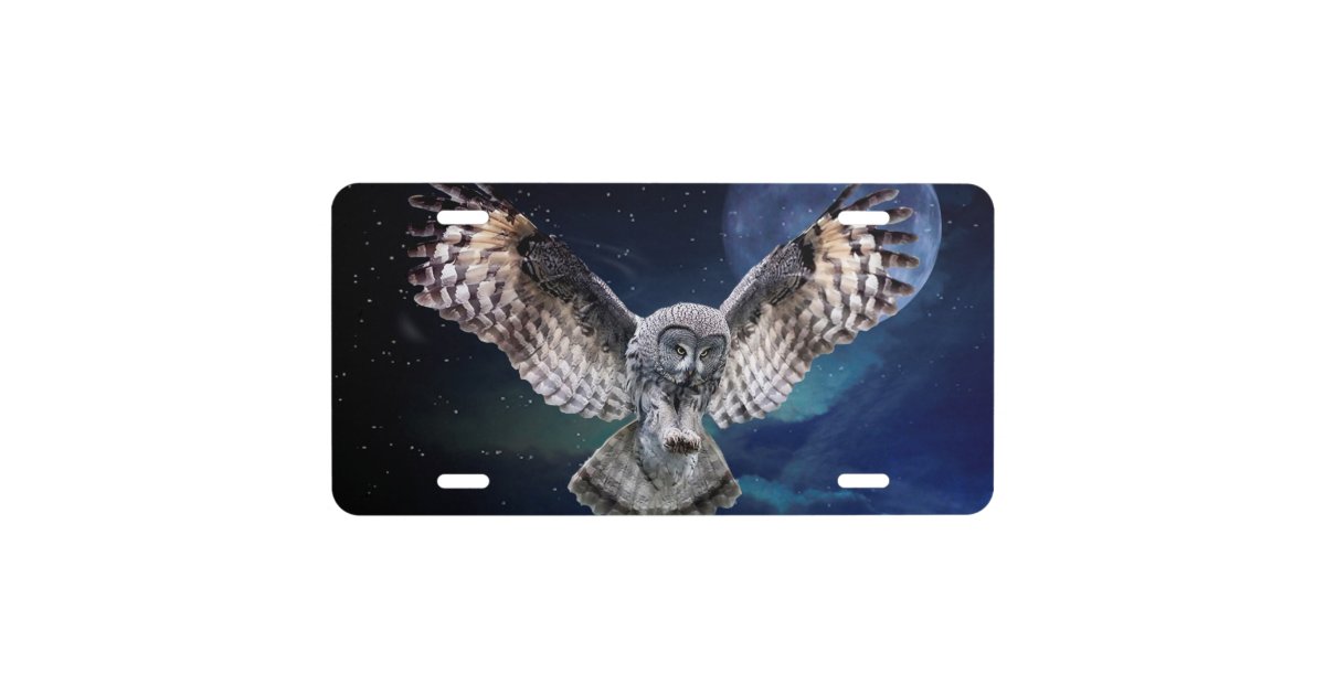 Owl in Flight License Plate | Zazzle