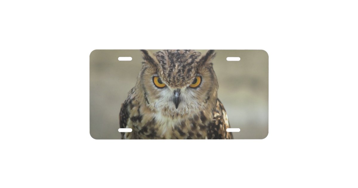 Owl License Plate | Zazzle