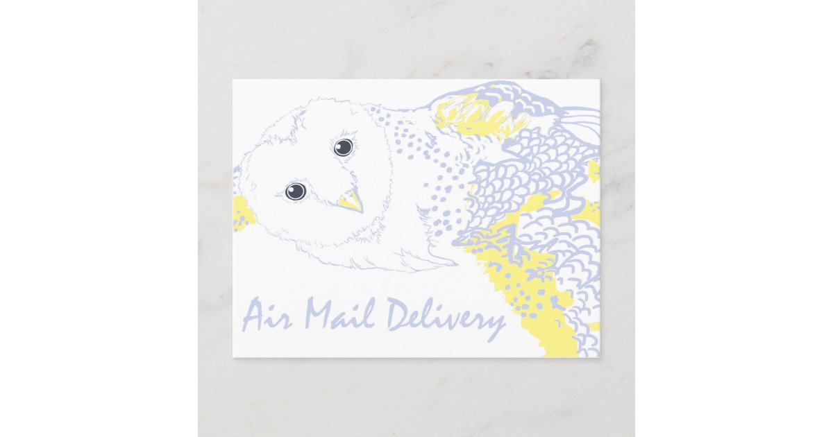 Owl mail delivery- Hogwarts inspired Holiday Postcard | Zazzle.com