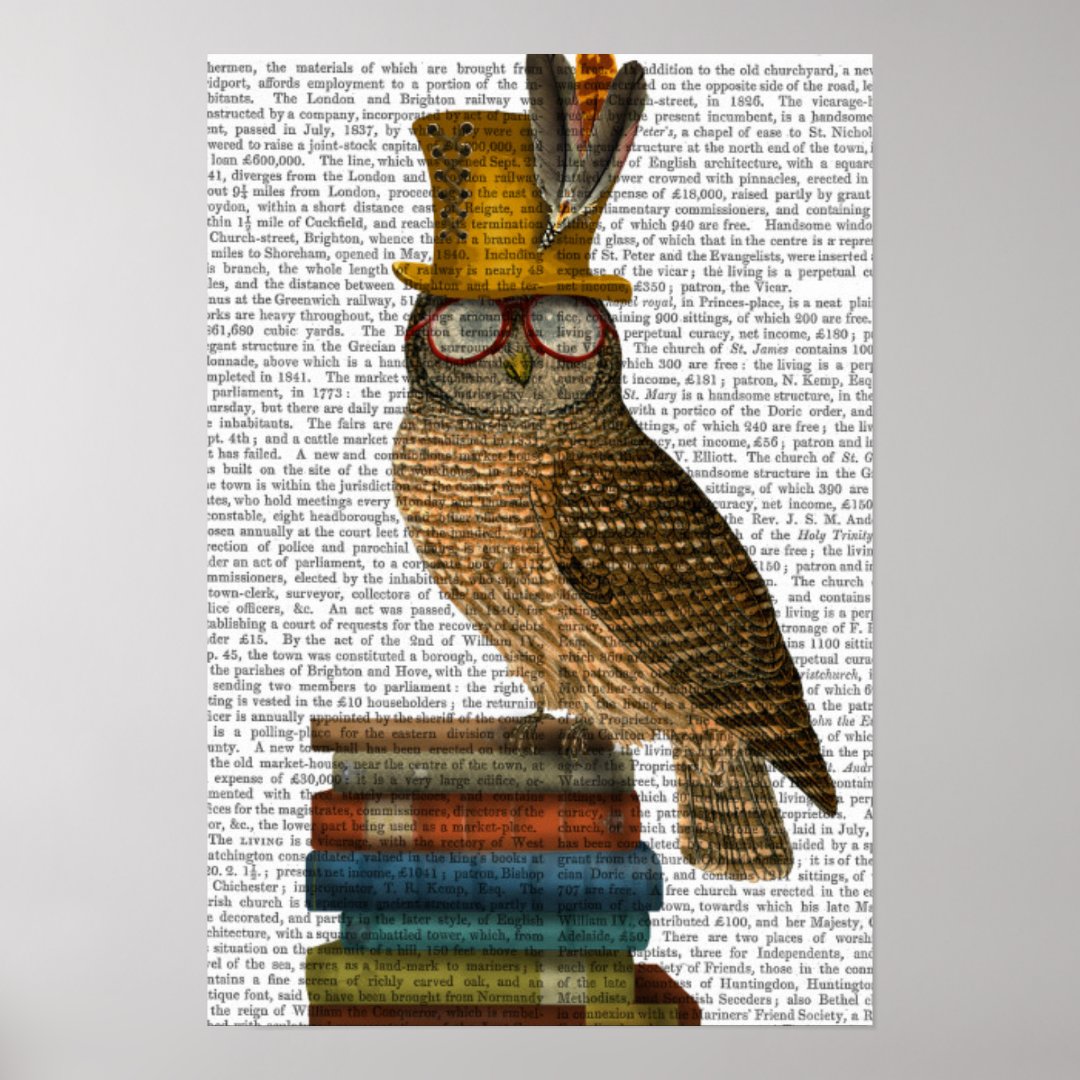 Owl On Books Poster | Zazzle