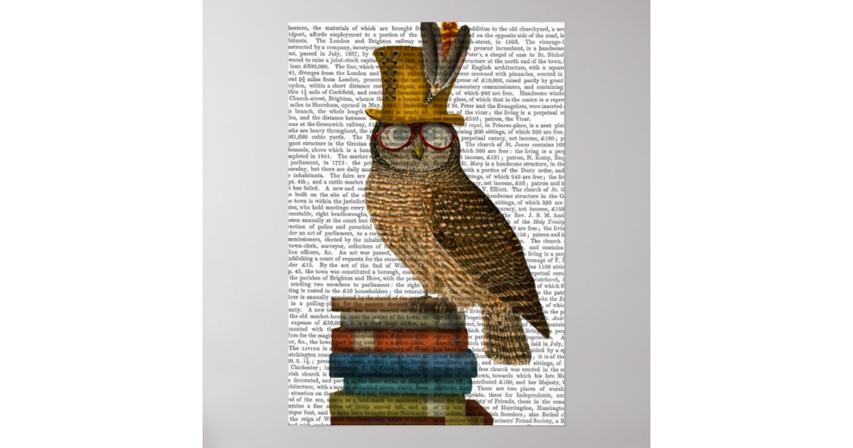 Owl On Books Poster | Zazzle