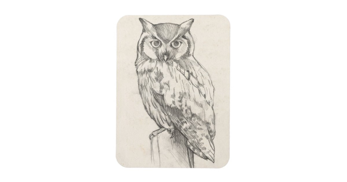 Owl Portrait - Sketch Magnet | Zazzle