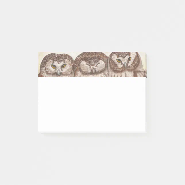 Owl post it note pad | Zazzle