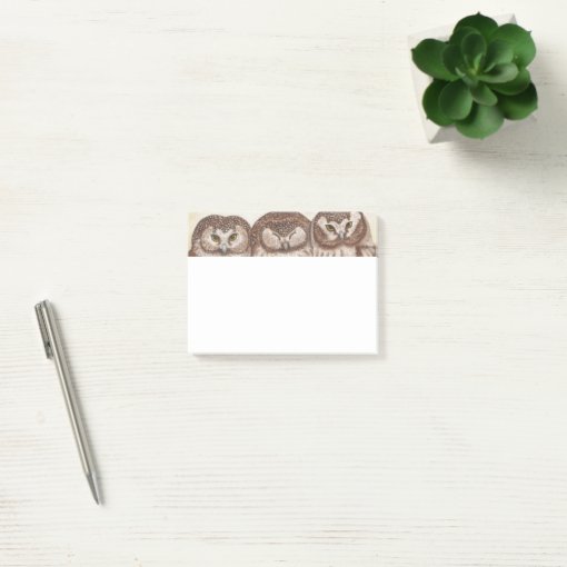 Owl post it note pad | Zazzle