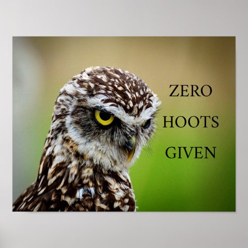 Owl Poster | Zazzle