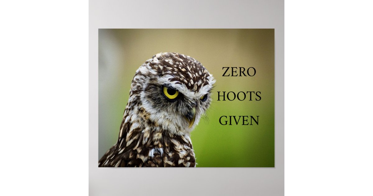 Owl Poster | Zazzle