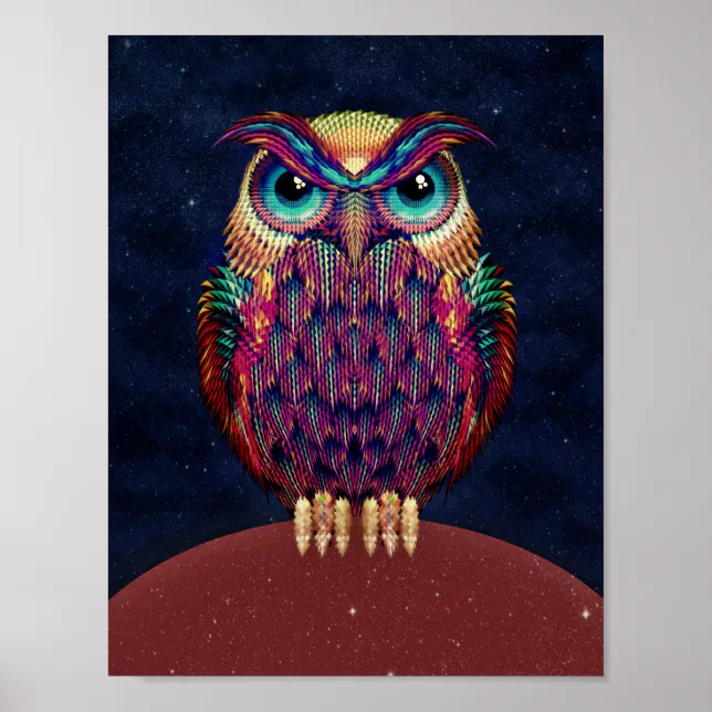 Owl Poster | Zazzle
