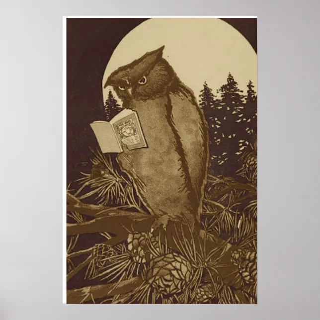 Owl Reading a book by Moonlight Poster | Zazzle