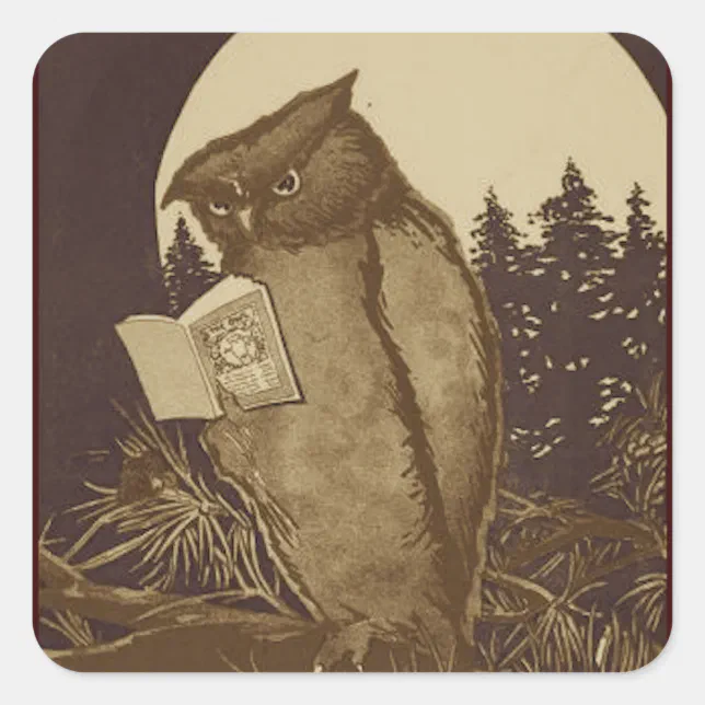 Owl Reading by Moonlight Square Sticker | Zazzle