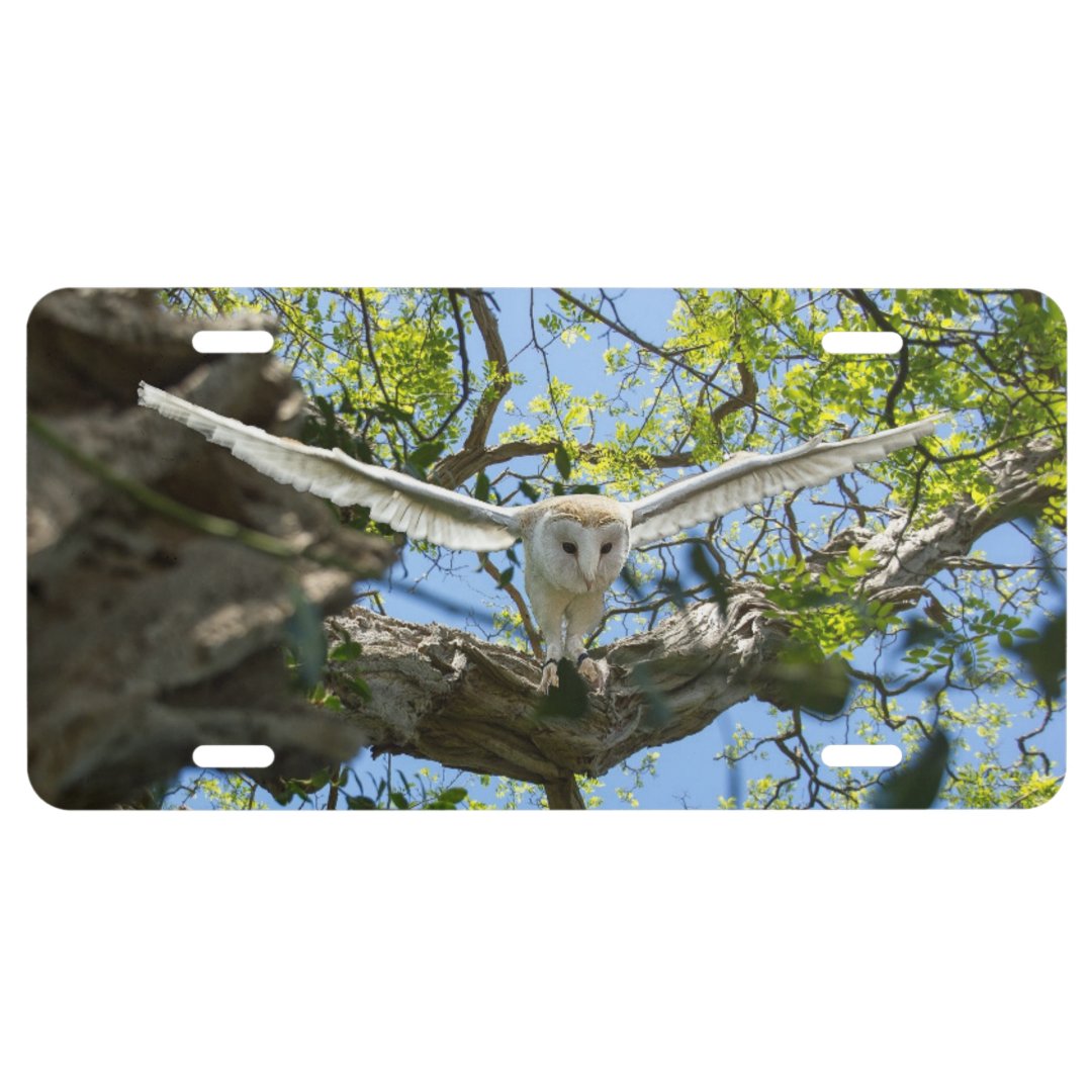Owl Taking Flight License Plate | Zazzle