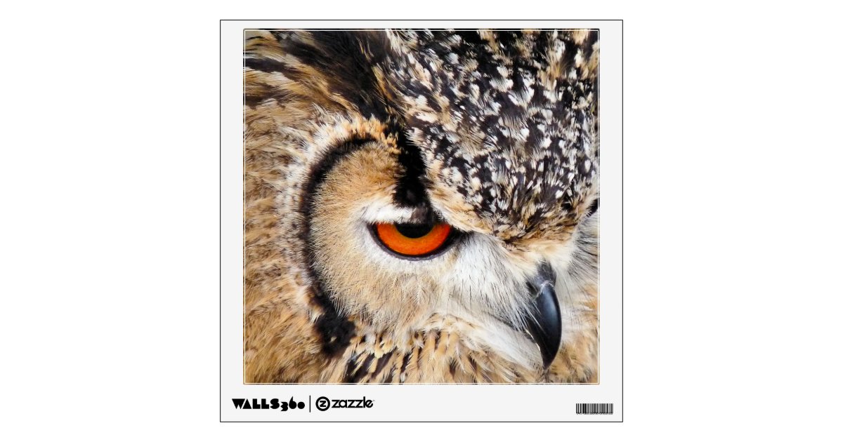 OWL WALL STICKER | Zazzle