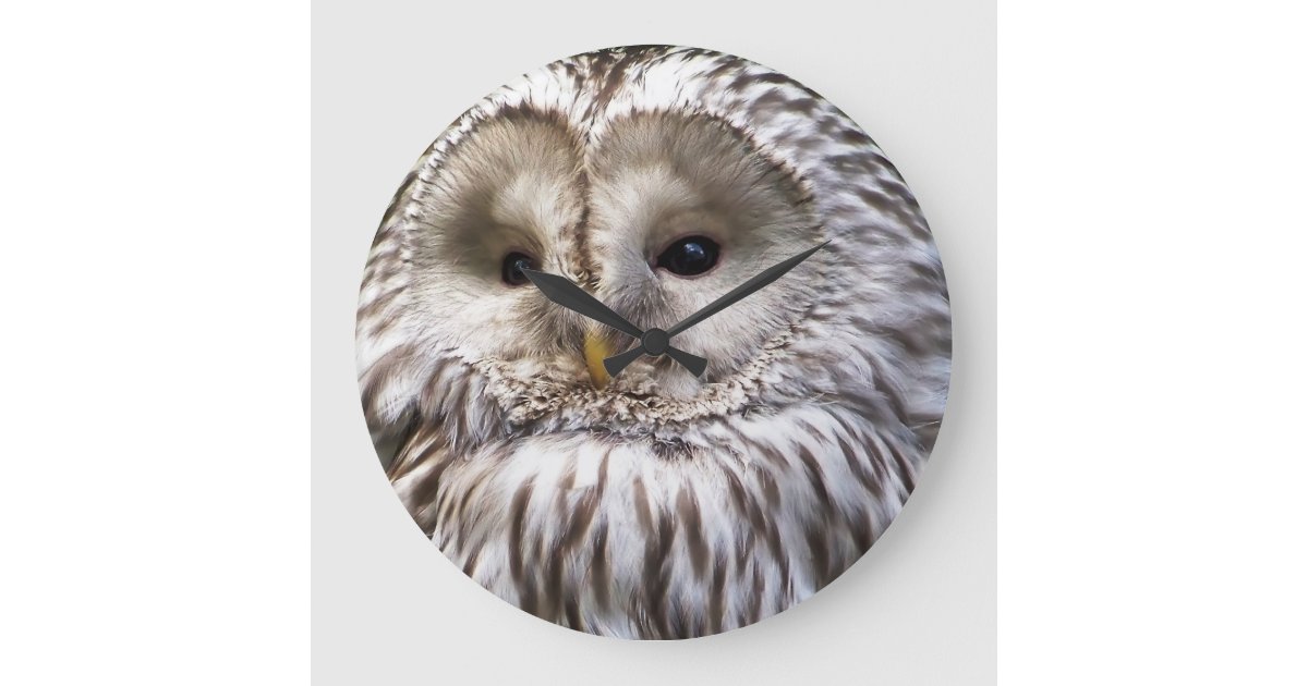 OWLS LARGE CLOCK | Zazzle
