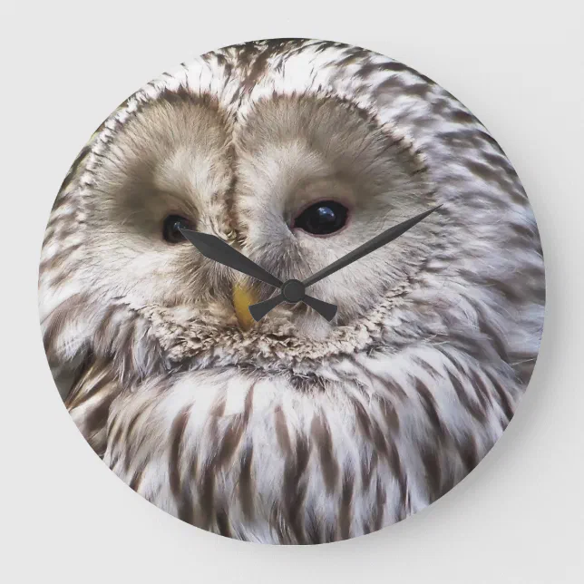OWLS LARGE CLOCK | Zazzle