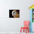 OWLS POSTER | Zazzle