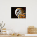 OWLS POSTER | Zazzle